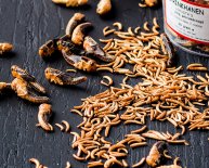 Eating Insects healthy | Healthy Food Guide